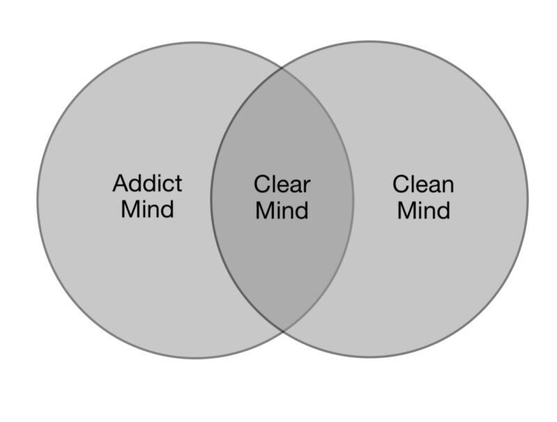 Exploring the Application of DBT in the Context of Addiction – Life ...